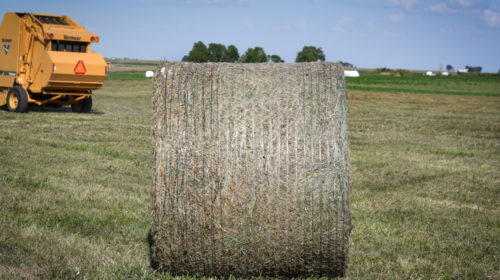 bale scale – Makin' Hay