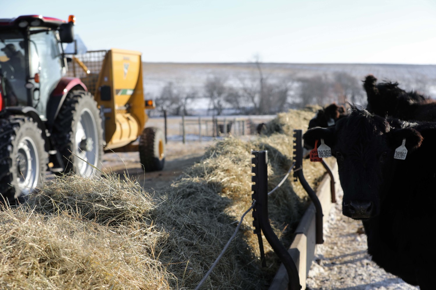 Stop Hay Waste With the Right Feed Management – Makin' Hay